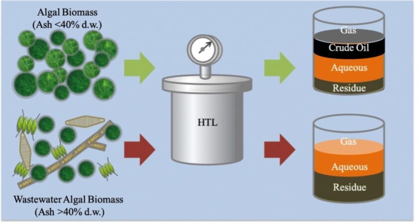 The methods of biofuel generation by using microalgae: A review ...